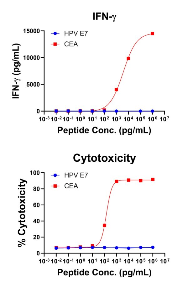 Antigen-Specific T Cells: anti CEA T cells | Immune cells| Ignyte Bio