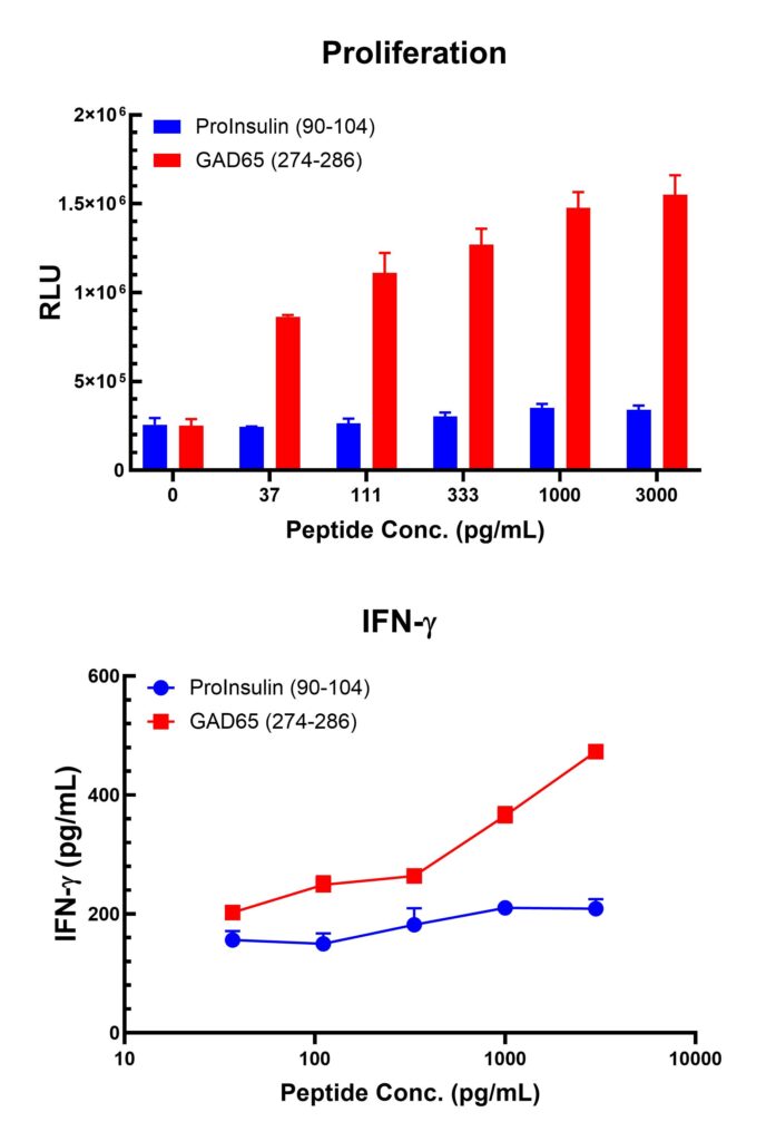 Antigen-Specific T Cells: anti GAD65 T cells | Immune cells| Ignyte Bio
