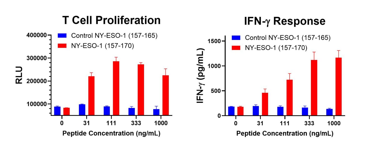 Antigen-Specific T Cells: anti NY-ESO-1 CD4 T cells | Immune cells| Ignyte Bio